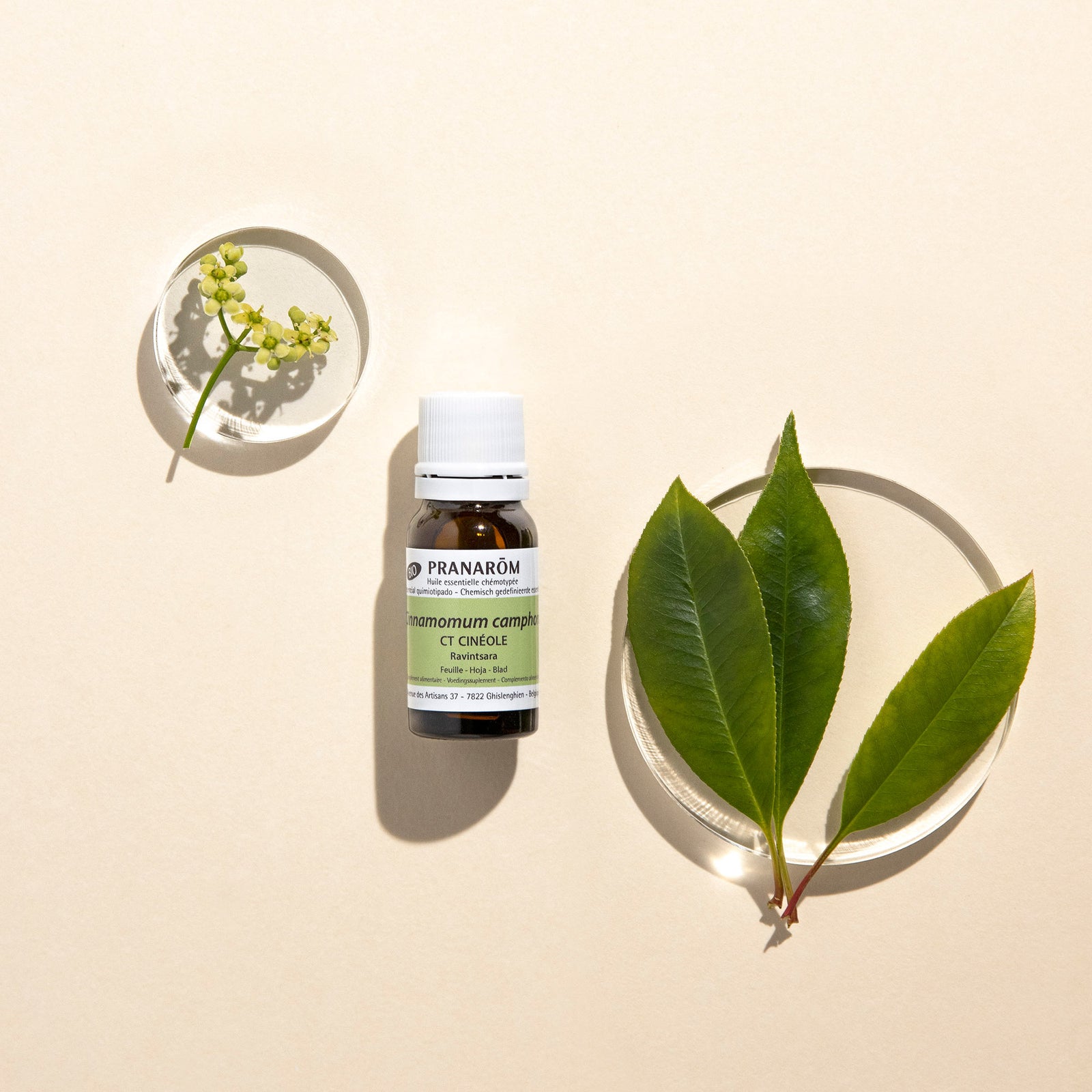 Huiles Essentielles | Pranarôm